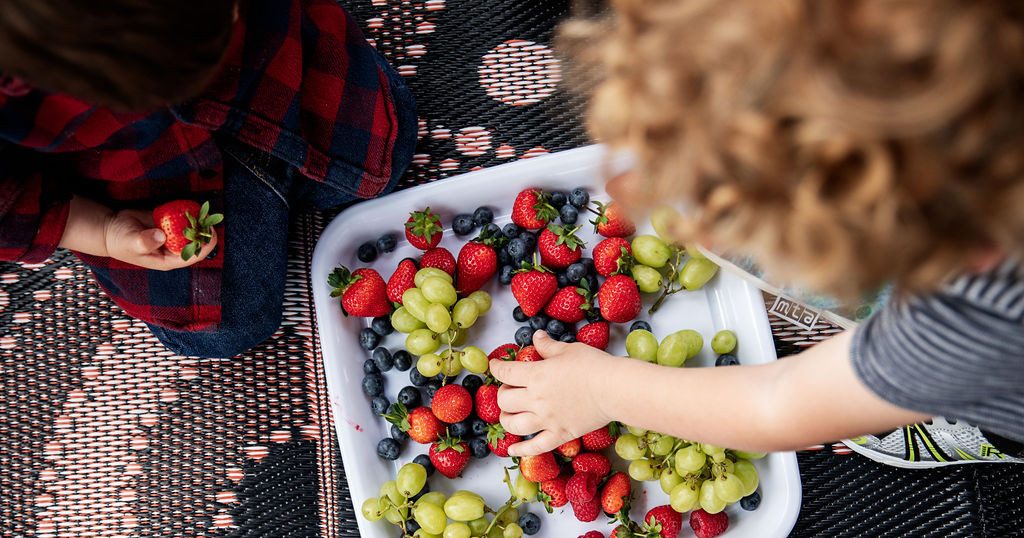 Community Playgroups - Organisation Led | Playgroup Tasmania